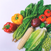 Vegetables & Herbs – Fresh for Less